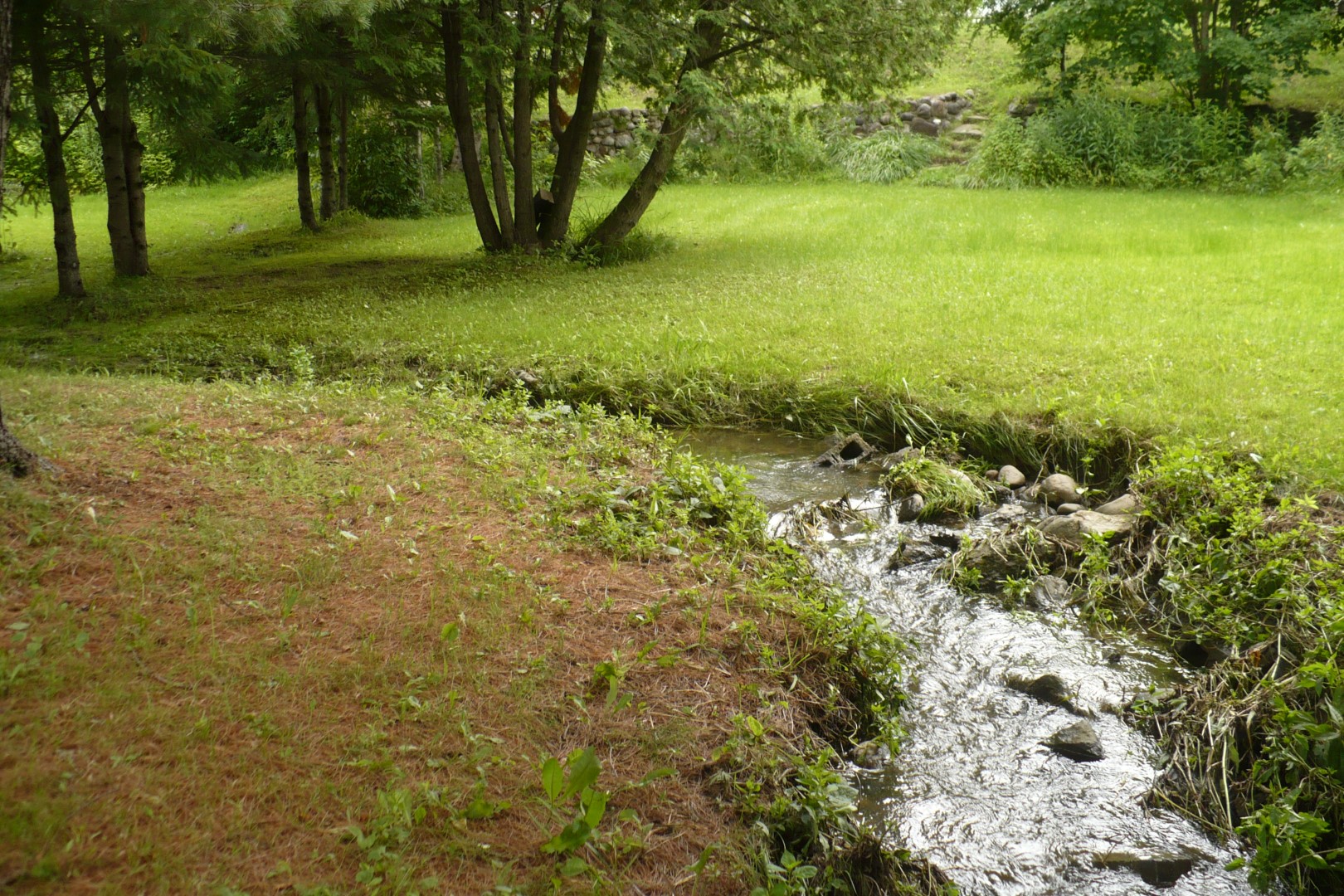 Caractérisation du ruisseau Pagé - COBALI