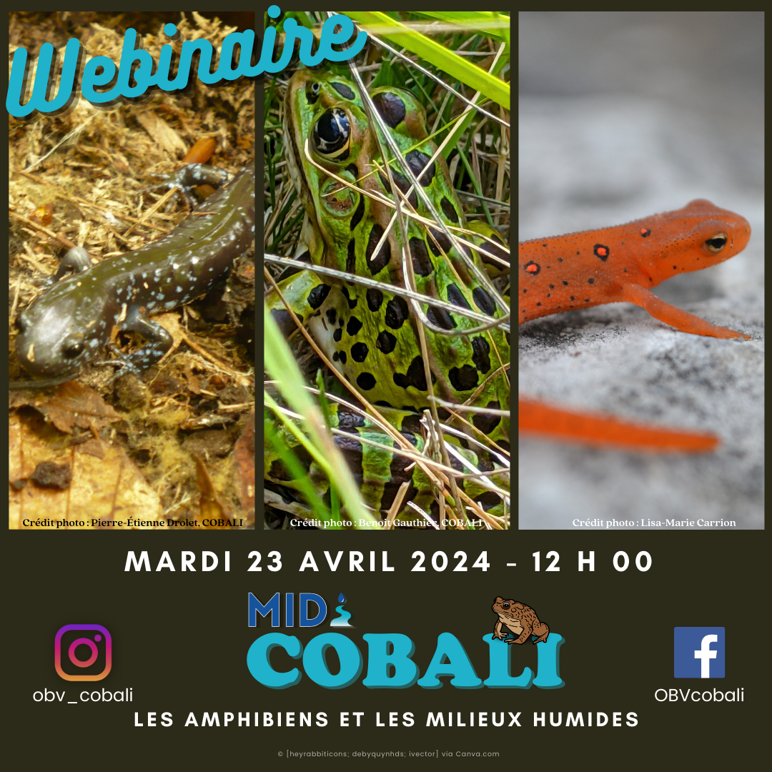 COBALI - Comité du bassin versant de la rivière du Lièvre